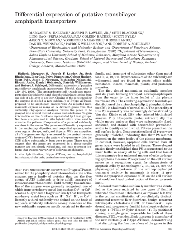 (PDF) Phosphatidylserine Flippase in Photoreceptor Disc Membranes ...
