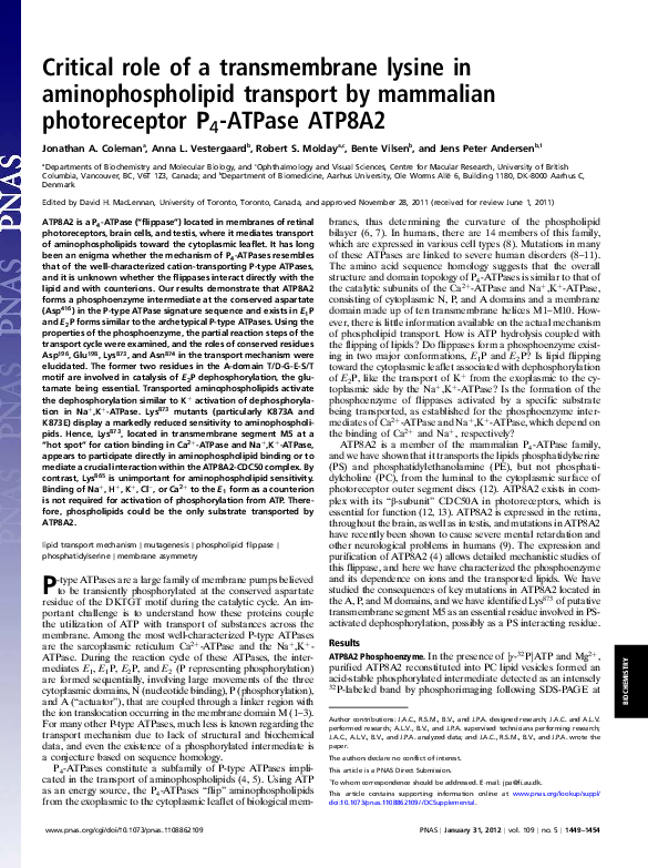 (PDF) Critical role of a transmembrane lysine in aminophospholipid transport by mammalian ...