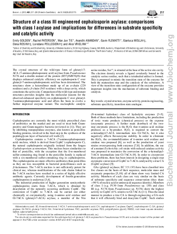 (PDF) One-Pot Conversion of Cephalosporin C to 7-Aminocephalosporanic ...