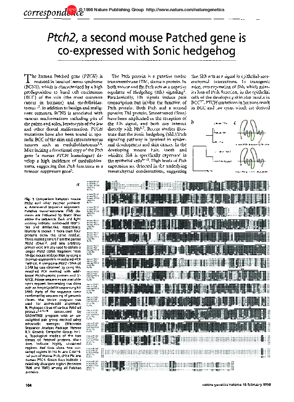 (PDF) Ptch2, a second mouse Patched gene is co-expressed with Sonic ...
