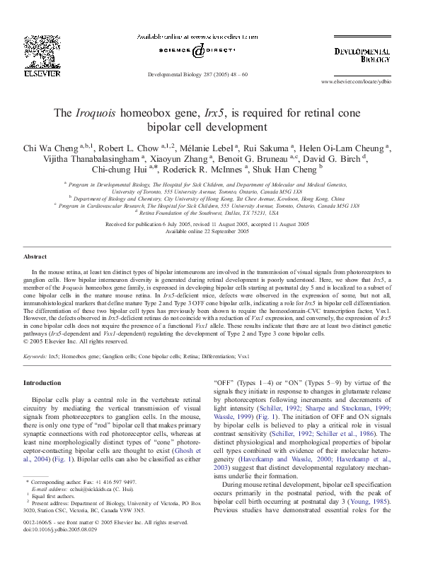 (PDF) The Iroquois homeobox gene, Irx5, is required for retinal cone ...