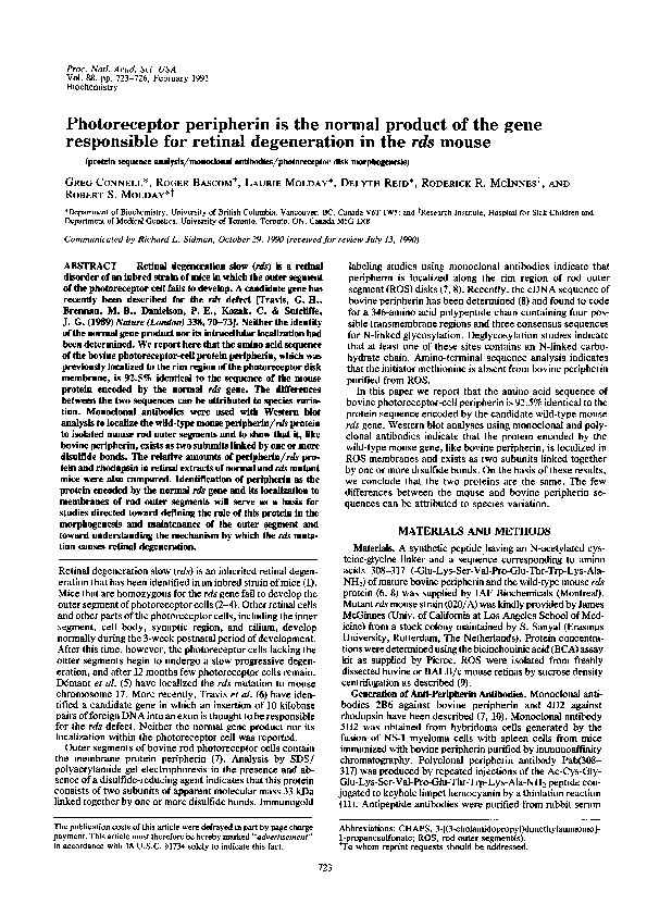 (PDF) Photoreceptor peripherin is the normal product of the gene ...