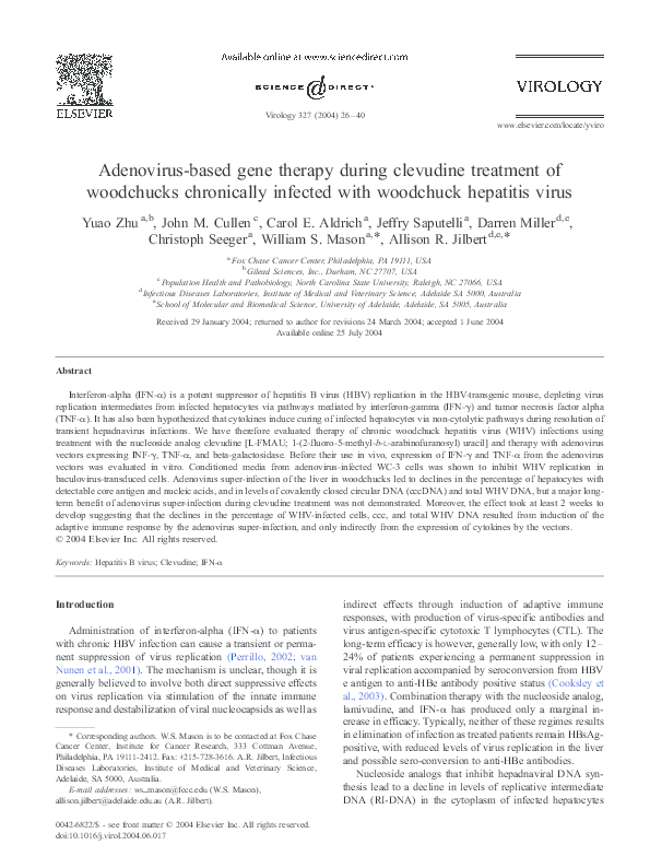(PDF) Adenovirus-based gene therapy during clevudine treatment of ...