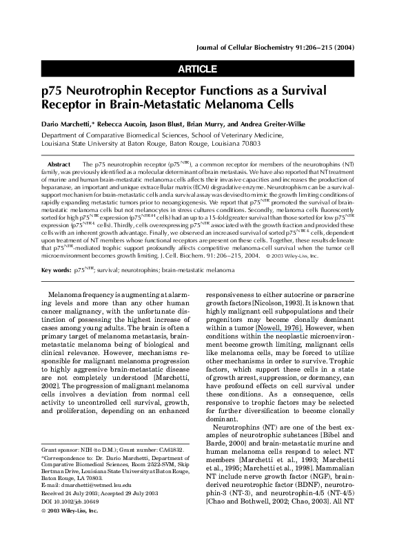 (PDF) p75 neurotrophin receptor functions as a survival receptor in ...