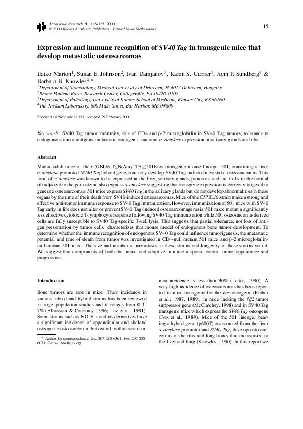 (PDF) Expression and immune recognition of SV40 Tag in transgenic mice ...