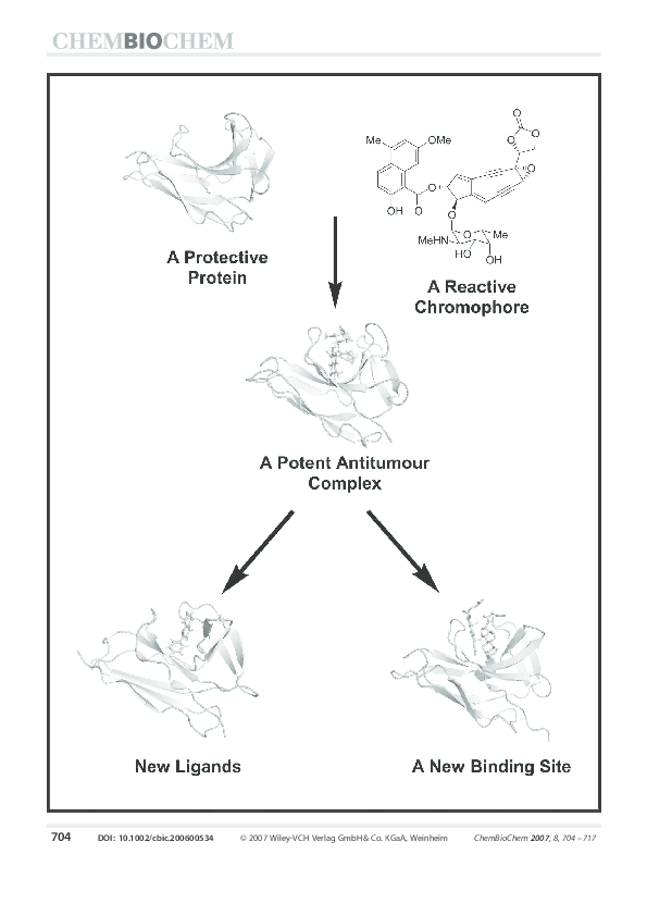 (PDF) Protein–Small Molecule Interactions in Neocarzinostatin, the ...
