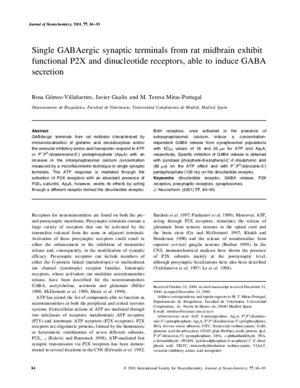(PDF) Single GABAergic synaptic terminals from rat midbrain exhibit ...