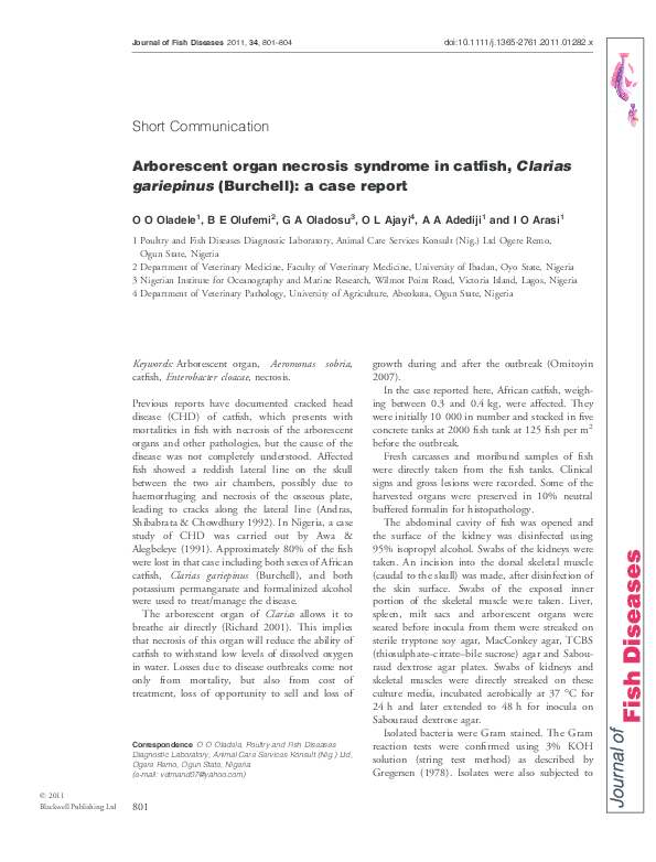 (PDF) ARBORESCENT ORGAN NECROSIS SYNDROME CLARIAS GARIEPINUS