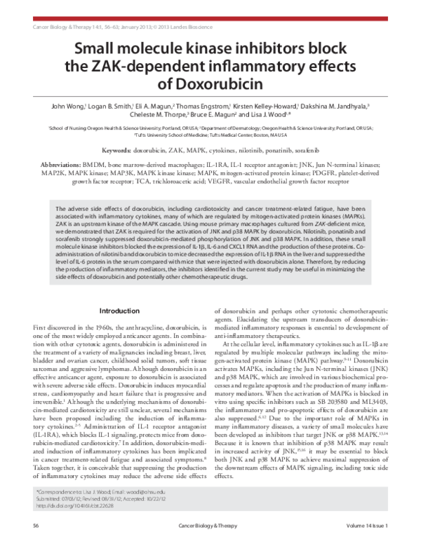 (PDF) Small molecule kinase inhibitors block the ZAK-dependent inflammatory effects of doxorubicin