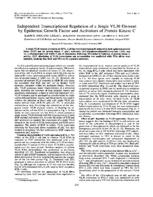 (PDF) Independent transcriptional regulation of a single VL30 element ...