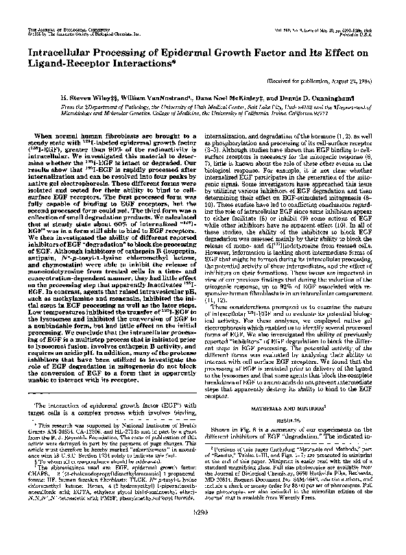 (PDF) Intracellular processing of epidermal growth factor. II ...