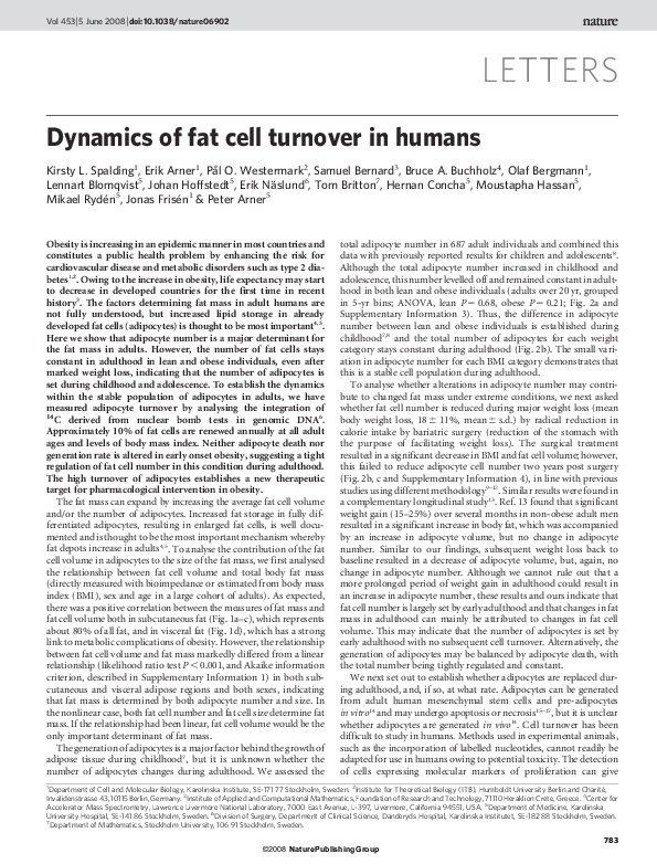 (PDF) Dynamics of fat cell turnover in humans