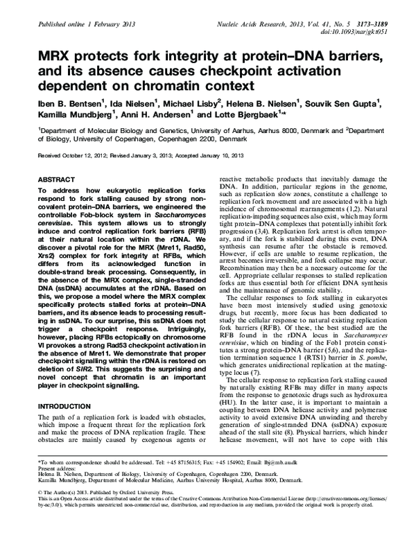 (PDF) MRX protects fork integrity at protein-DNA barriers, and its ...