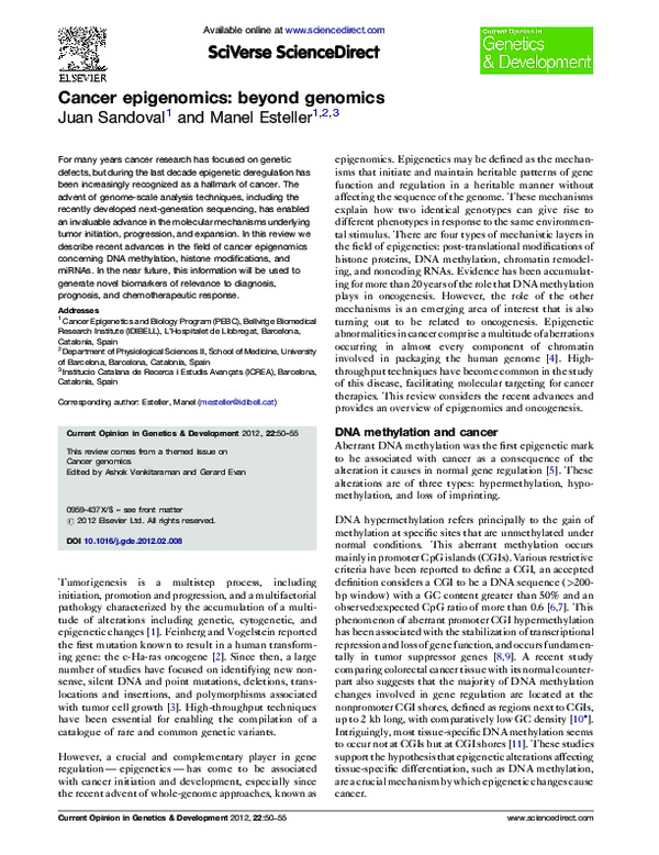 (PDF) Cancer epigenomics: beyond genomics