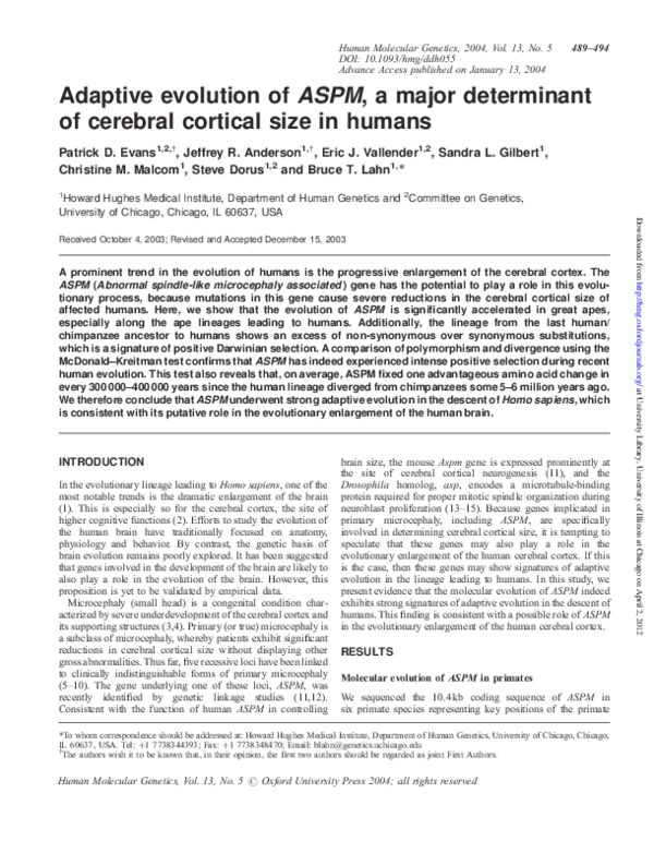 (PDF) Adaptive evolution of ASPM, a major determinant of cerebral ...