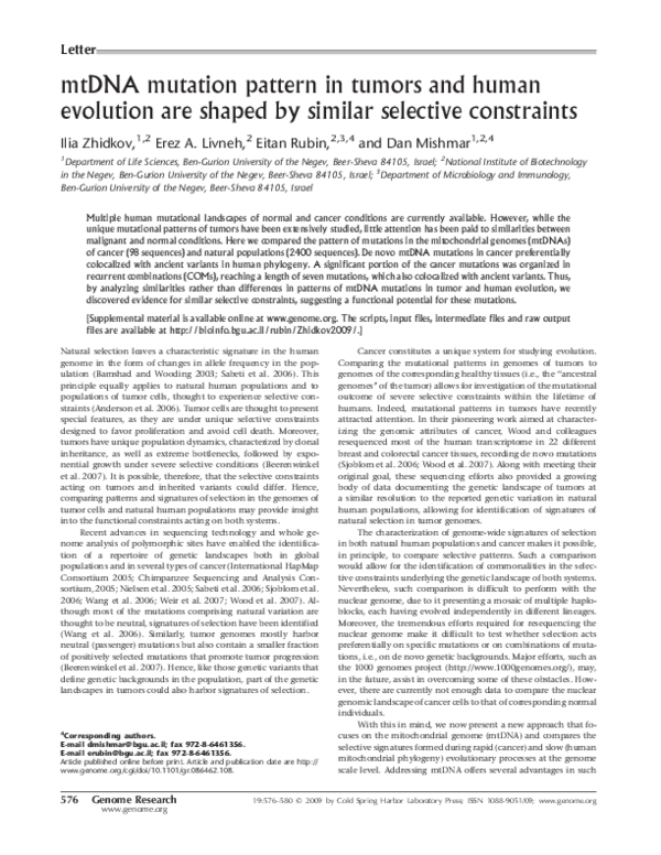 (PDF) mtDNA mutation pattern in tumors and human evolution are shaped ...
