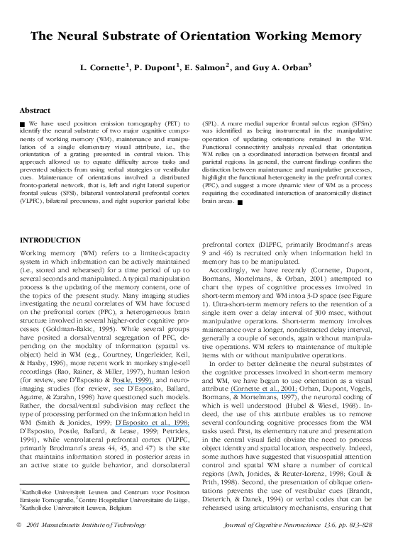 (PDF) The Neural Substrate of Orientation Working Memory