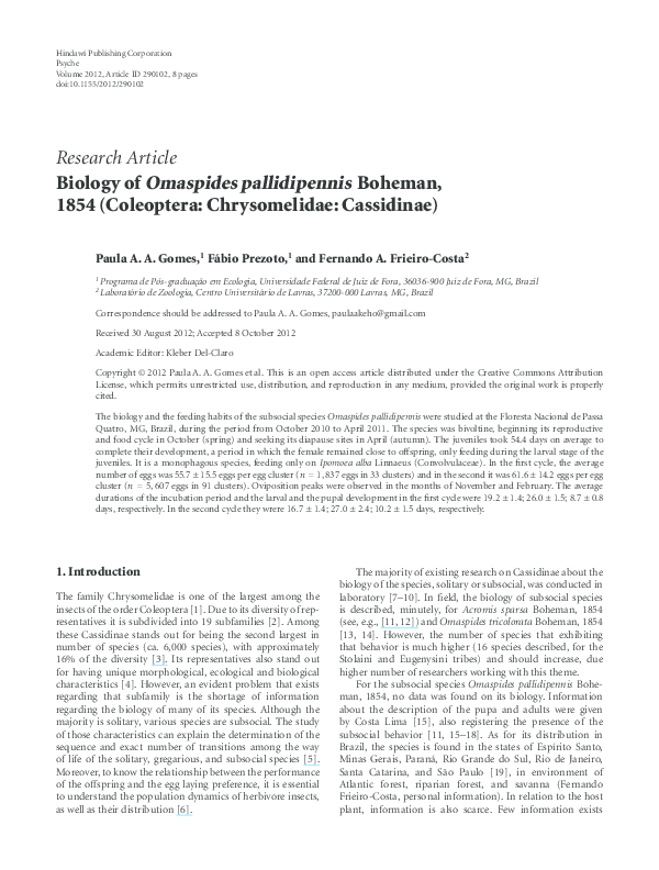 (PDF) Revision of the Omaspides augusta Group (Coleoptera ...