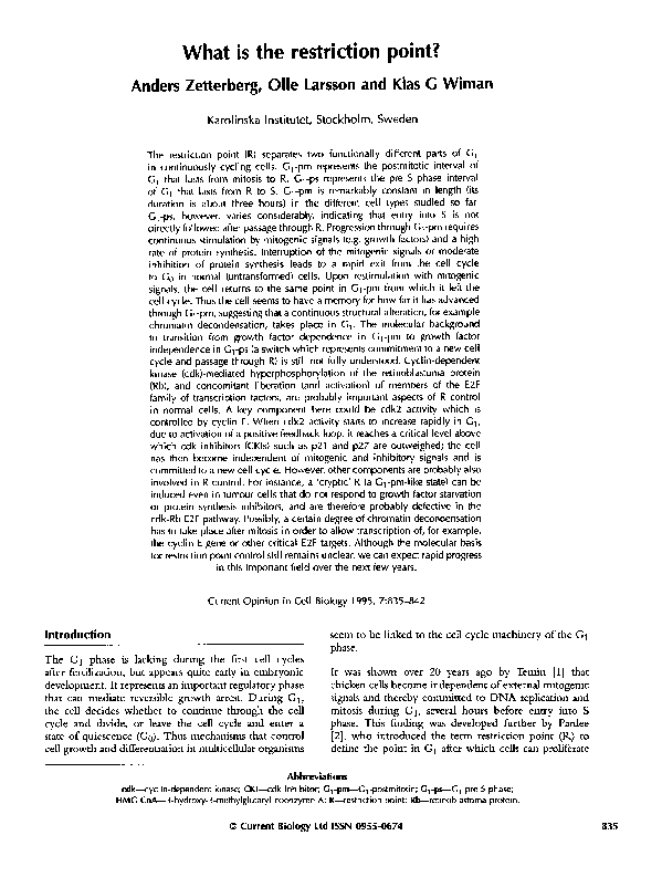 (PDF) What is the restriction point?