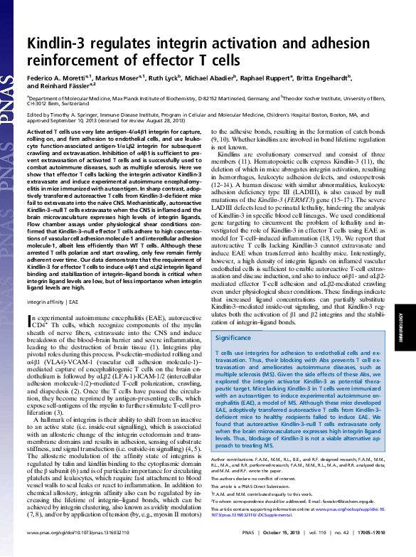 (PDF) Kindlin-3 regulates integrin activation and adhesion ...