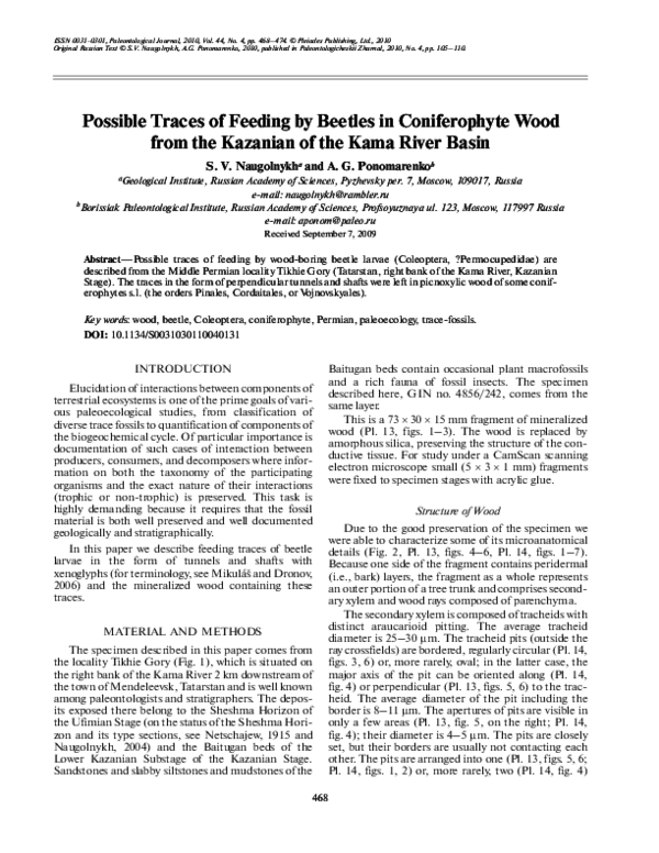 (PDF) Possible traces of feeding by beetles in coniferophyte wood from ...