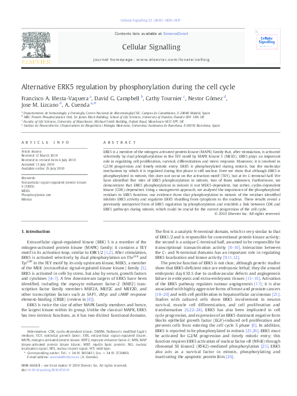 (PDF) Alternative ERK5 regulation by phosphorylation during the cell cycle