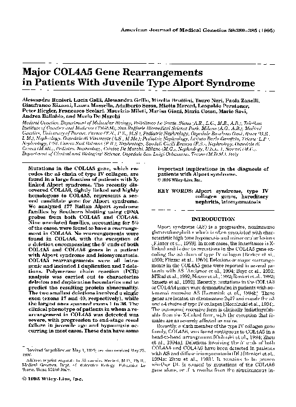 (PDF) Major COL4A5 gene rearrangements in patients with juvenile type ...
