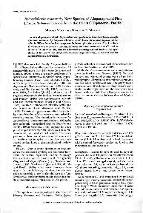 (PDF) A new species and a review of the deep-sea fish genus Asquamiceps ...