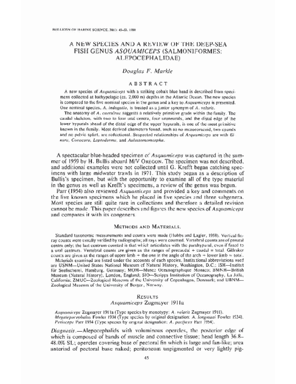 (PDF) A New Species and a Review of the Deep-Sea Fish Genus Asquamiceps ...