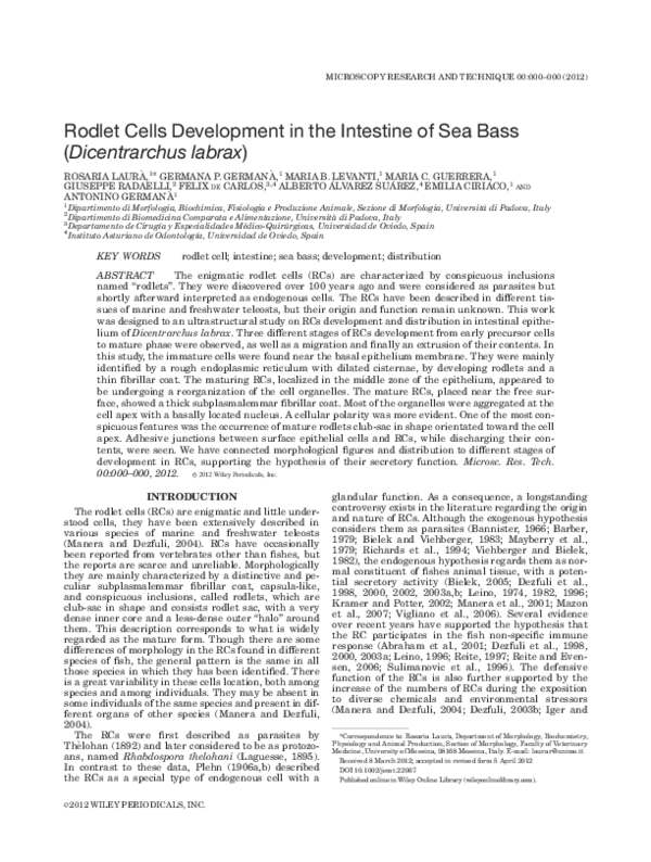 (PDF) Rodlet cells development in the intestine of sea bass ...