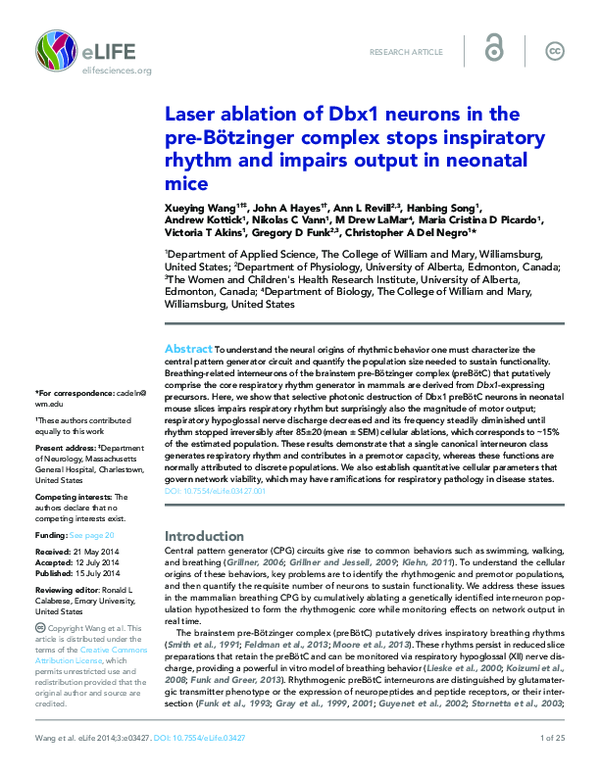 (PDF) Crawling towards a map of the brain | Laura Masullo - Academia.edu