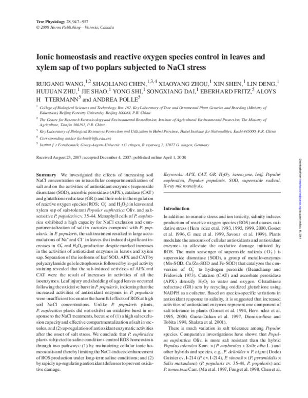 (PDF) Ionic homeostasis and reactive oxygen species control in leaves ...