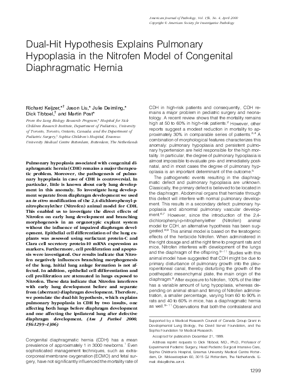 (PDF) Dual-Hit Hypothesis Explains Pulmonary Hypoplasia in the Nitrofen ...