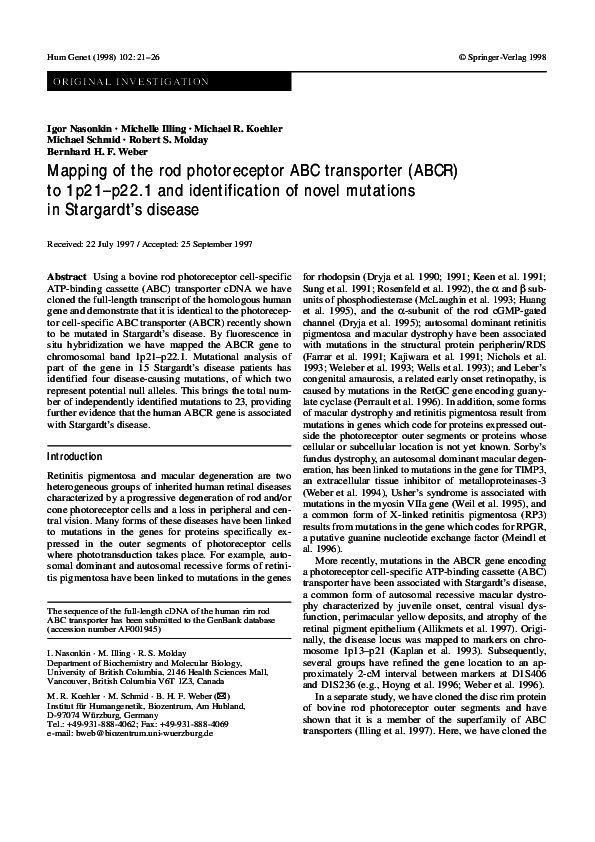 (PDF) Mapping of the rod photoreceptor ABC transporter (ABCR) to 1p21 ...