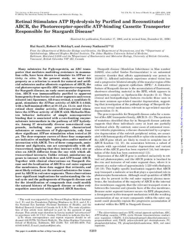 (PDF) Retinal Stimulates ATP Hydrolysis by Purified and Reconstituted ...