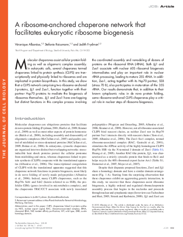 (PDF) A ribosome-anchored chaperone network that facilitates eukaryotic ...