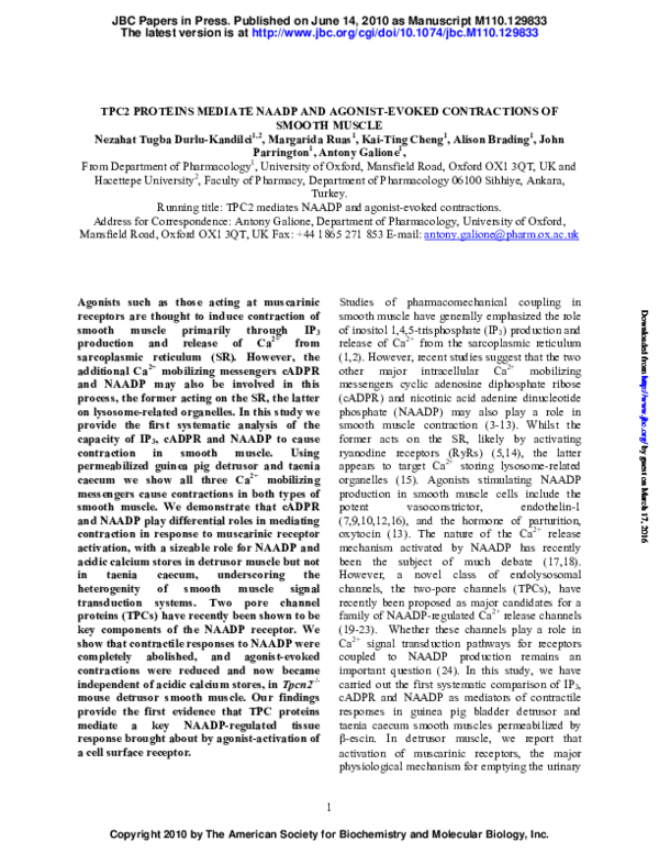 (PDF) TPC2 Proteins Mediate Nicotinic Acid Adenine Dinucleotide Phosphate (NAADP)- and Agonist ...
