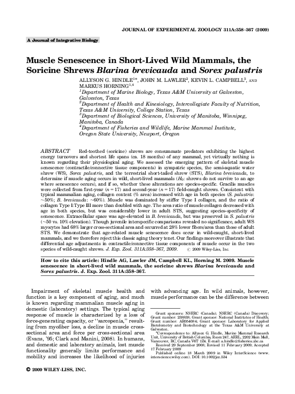 (PDF) Muscle senescence in short-lived wild mammals, the soricine ...