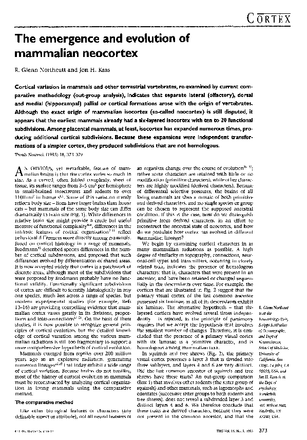 (PDF) The emergence and evolution of mammalian neocortex