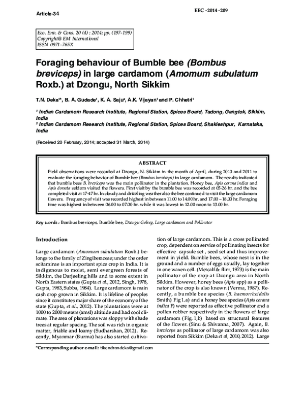 (PDF) Foraging behaviour of Bumble bee (Bombus breviceps) in large ...
