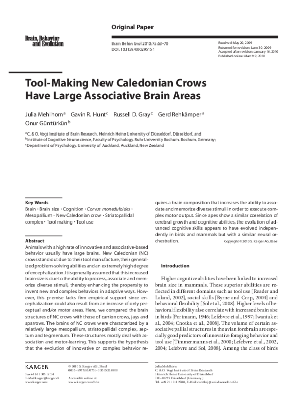 (PDF) Tool-Making New Caledonian Crows Have Large Associative Brain Areas