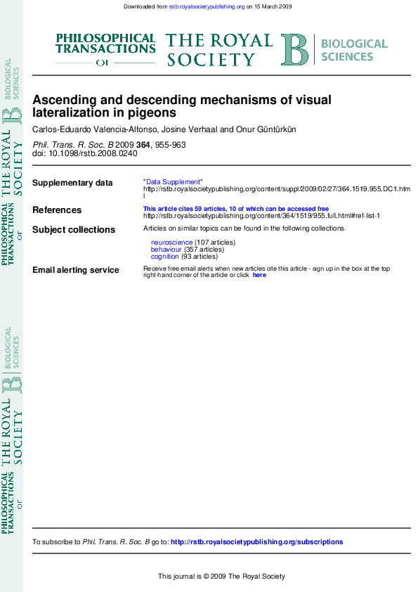 (PDF) Ascending and descending mechanisms of visual lateralization in ...