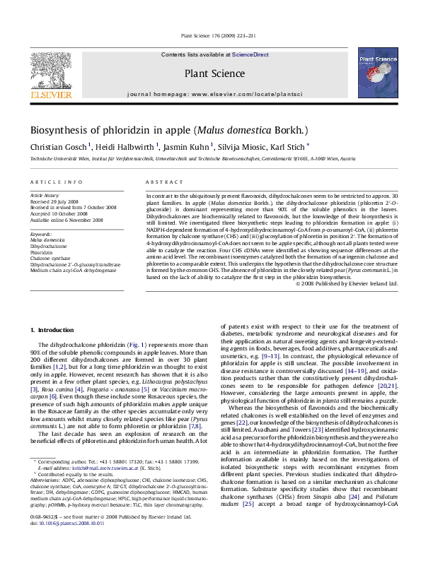 (PDF) Biosynthesis of phloridzin in apple (Malus domestica Borkh.)
