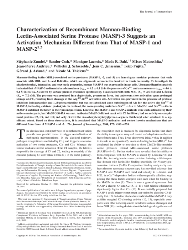 Pdf Characterization Of Recombinant Mannan Binding Lectin Associated