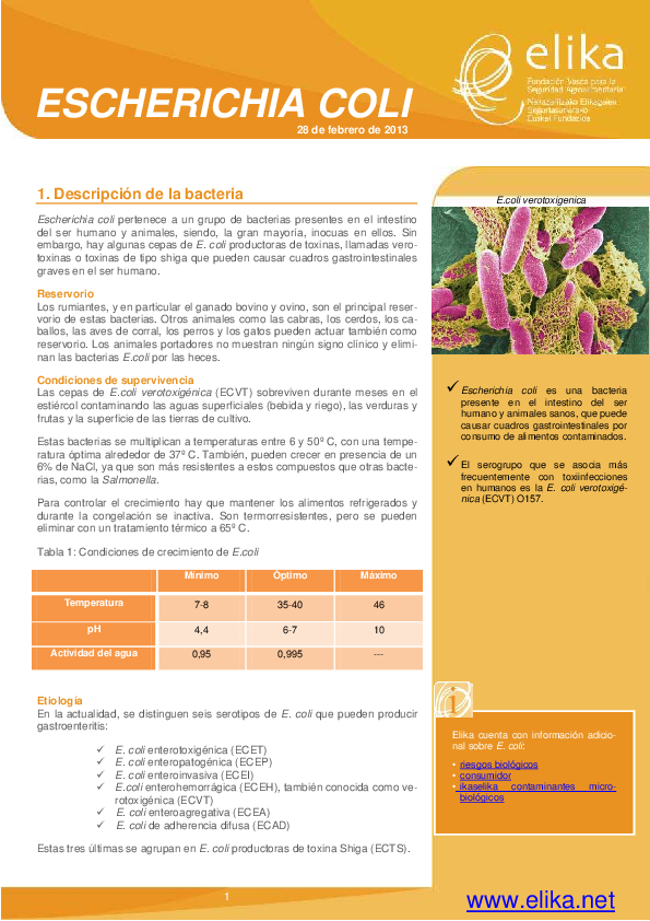(PDF) ESCHERICHIA COLI