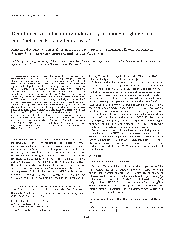 (PDF) Renal microvascular injury induced by antibody to glomerular ...