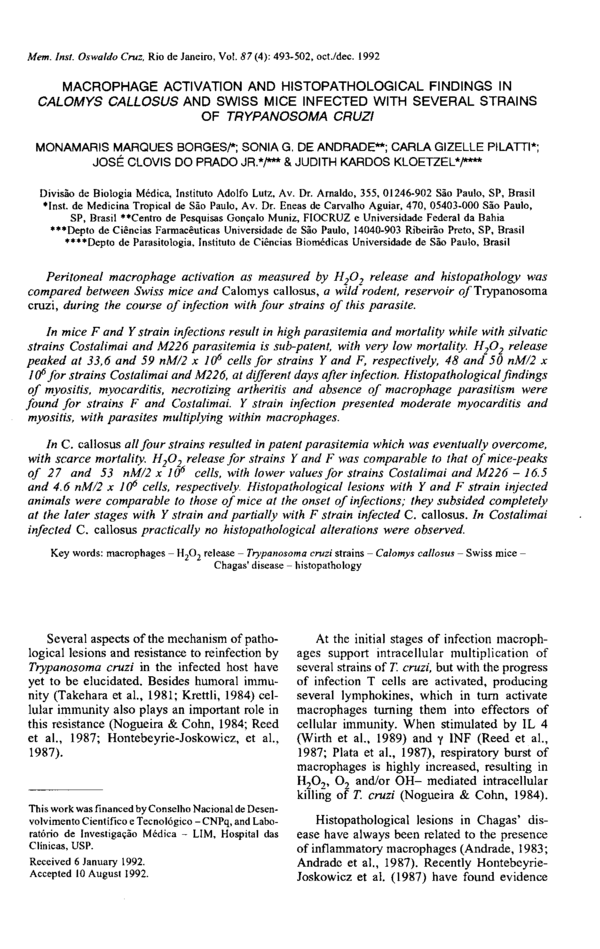 (PDF) Macrophage activation and histopathological findings in Calomys ...