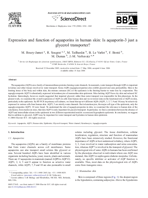 (PDF) Expression and function of aquaporins in human skin: Is aquaporin ...