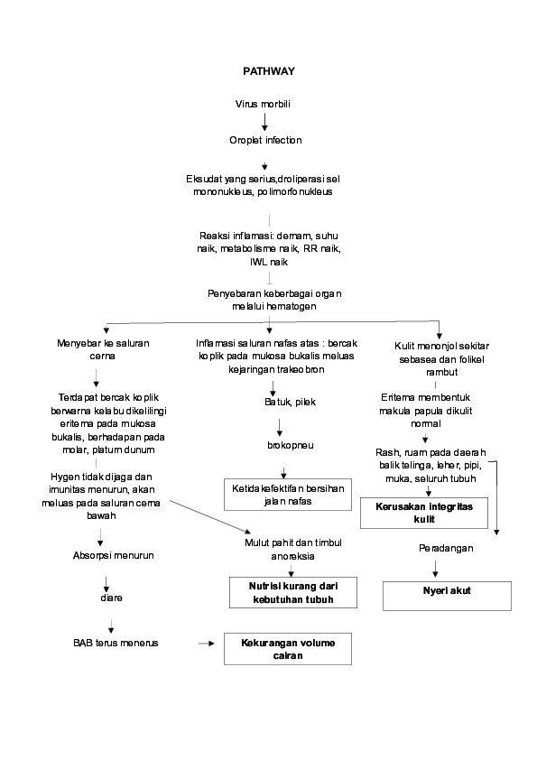 (DOC) ASKEP CACAR ATAU MORBILI