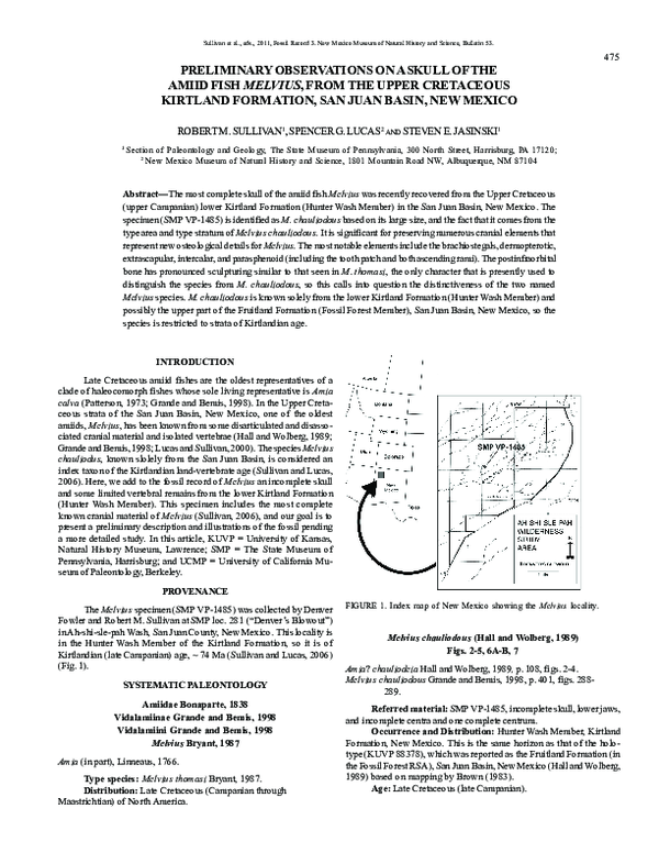 (PDF) Preliminary Observations on a Skull of the Amiid Fish Melvius ...